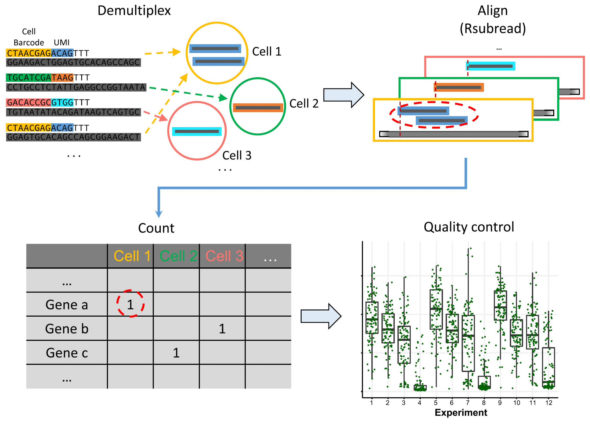 Scruff An R Bioconductor Package For Preprocessing Single Cell Rna